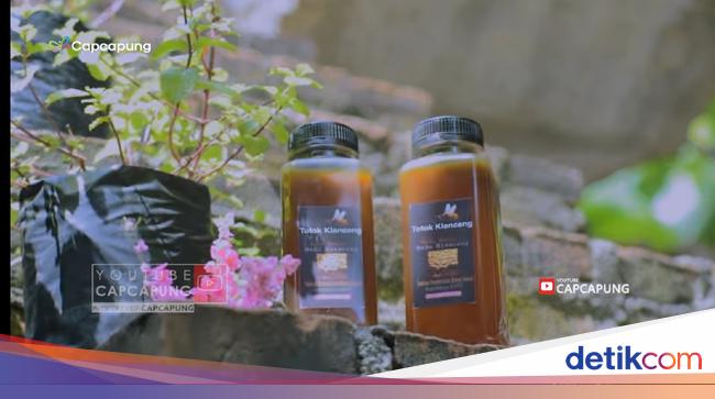 Mudah Ditiru, Budidaya Madu Klanceng yang Manis dan Kaya Khasiat