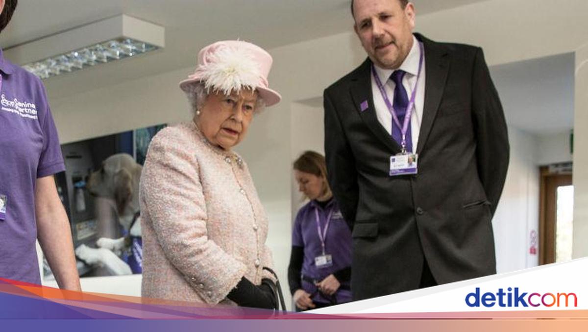 Hidup Mewah Anjing Ratu Elizabeth II yang Punya Menu Makanan Khusus