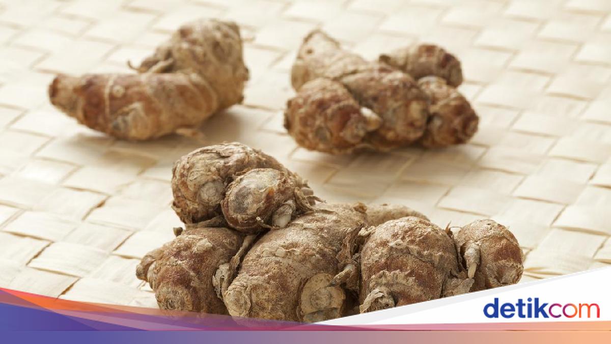 Cara Mengolah Kencur untuk Obat Batuk, Bahan Alami yang Baik buat Tenggorokan