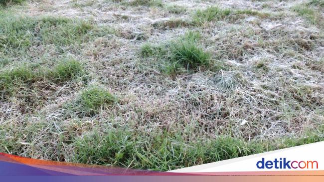 Embun Es Dieng yang Bikin Penasaran Wisatawan