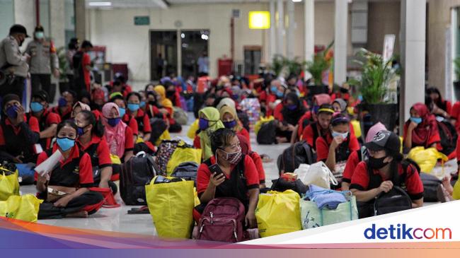BP2MI Sebut Ada Praktik Rente, Korbannya TKI BP2MI Sebut Ada Praktik Rente, Korbannya TKI