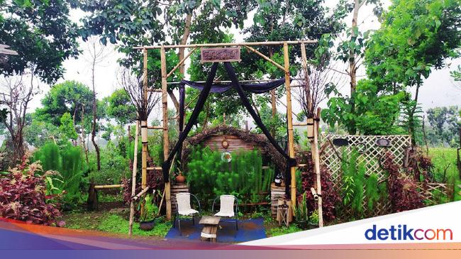 Ini Lho Spot Foto Unik dan Instagramable di Jalur Puncak II Cianjur