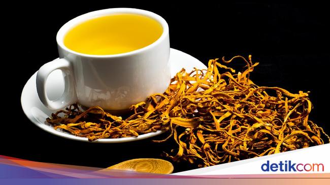Jamur Tumbuh di Darah Pria Ini Usai Ia Suntikkan Teh Jamur ke Tubuhnya