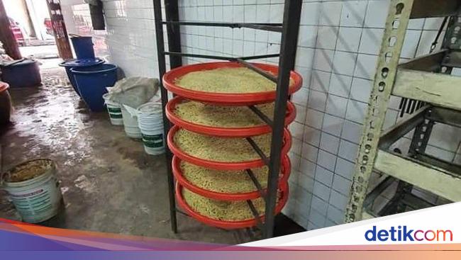 Jadi Sarang Tikus, Pabrik Mie Ini Penuh Dengan Kotoran Tikus!