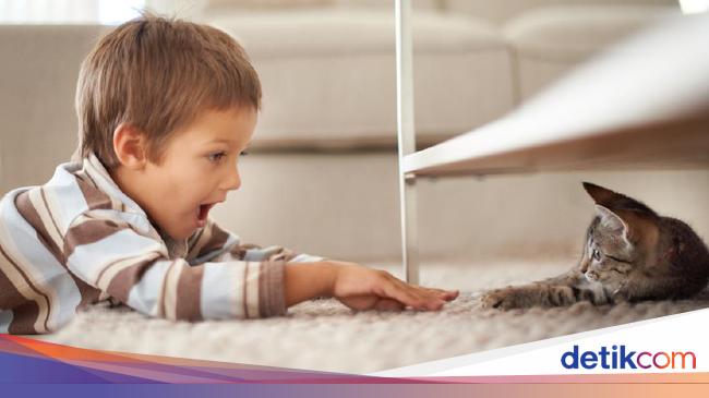 Tips Amankan Perabotan di Rumah dari Cakaran Kucing dan Anjing Tips Amankan Perabotan di Rumah dari Cakaran Kucing dan Anjing