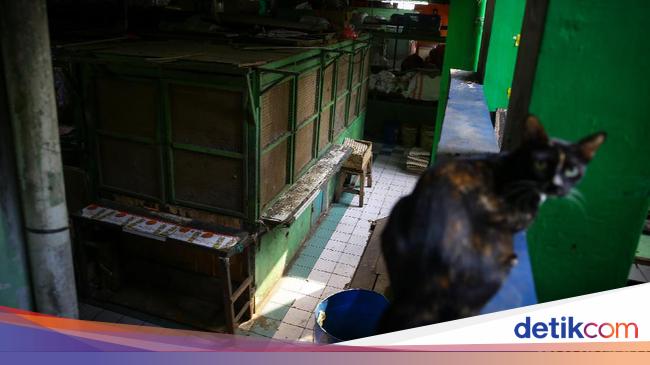 Pasar Mede Cilandak Mati Suri Usai Pedagang Positif Corona Pasar Mede Cilandak Mati Suri Usai Pedagang Positif Corona