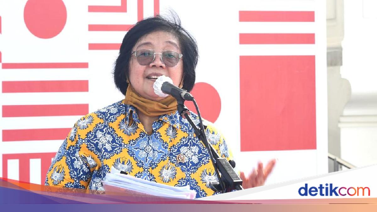 Permen LHK Terbaru: Hutan Lindung Bisa Diubah Jadi Food Estate