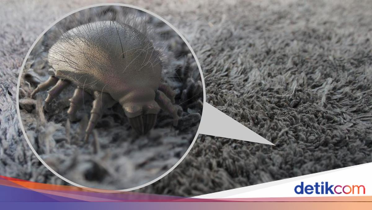 Tungau di Kasur Bisa Bikin Kulit Gatal, Ini Cara Ampuh Membasminya!