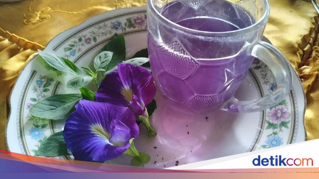 Warna-warni Cantik Teh Telang Racikan Petani Blitar