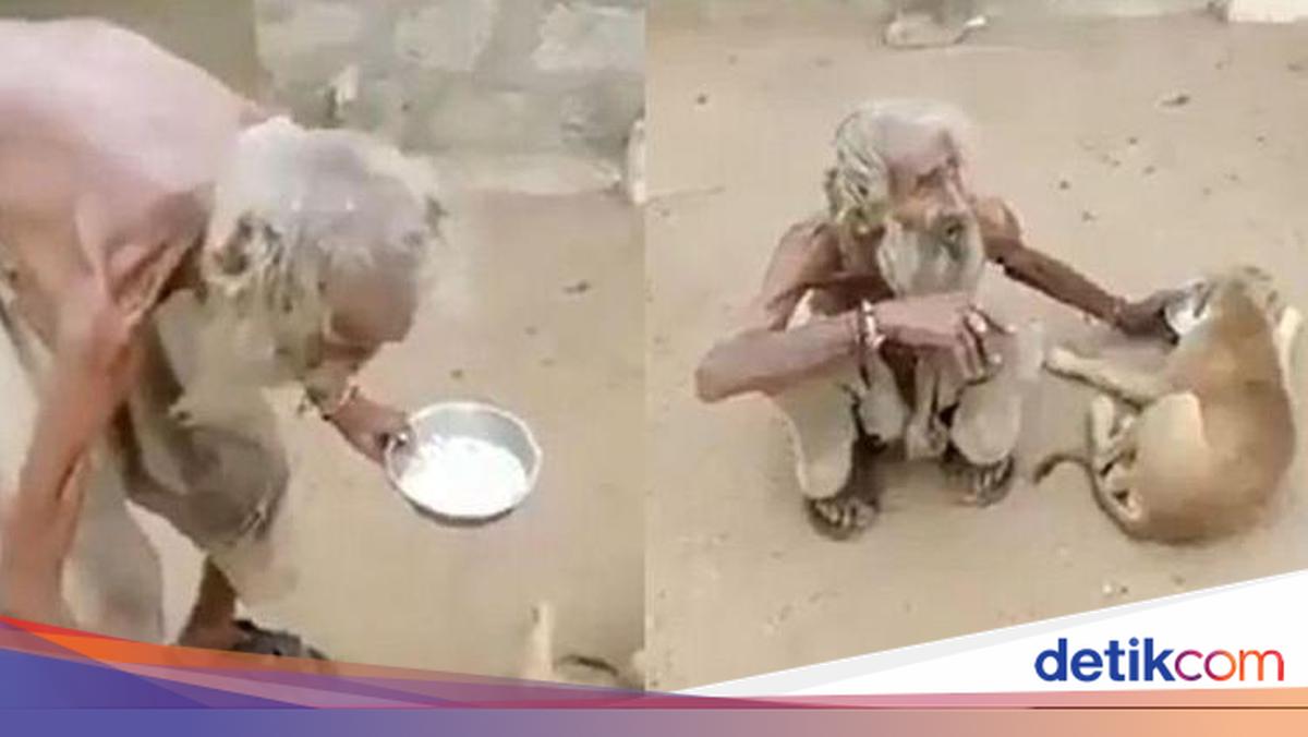 Bikin Haru! Pengemis Ini Rela Beri Makan Anjing Liar Pakai Piringnya