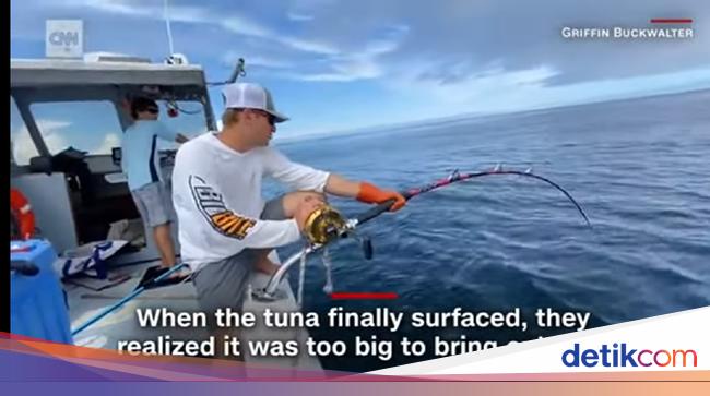 Nelayan Ini Butuh 7 Jam Untuk Menarik Ikan Tuna Seberat 300 Kilogram