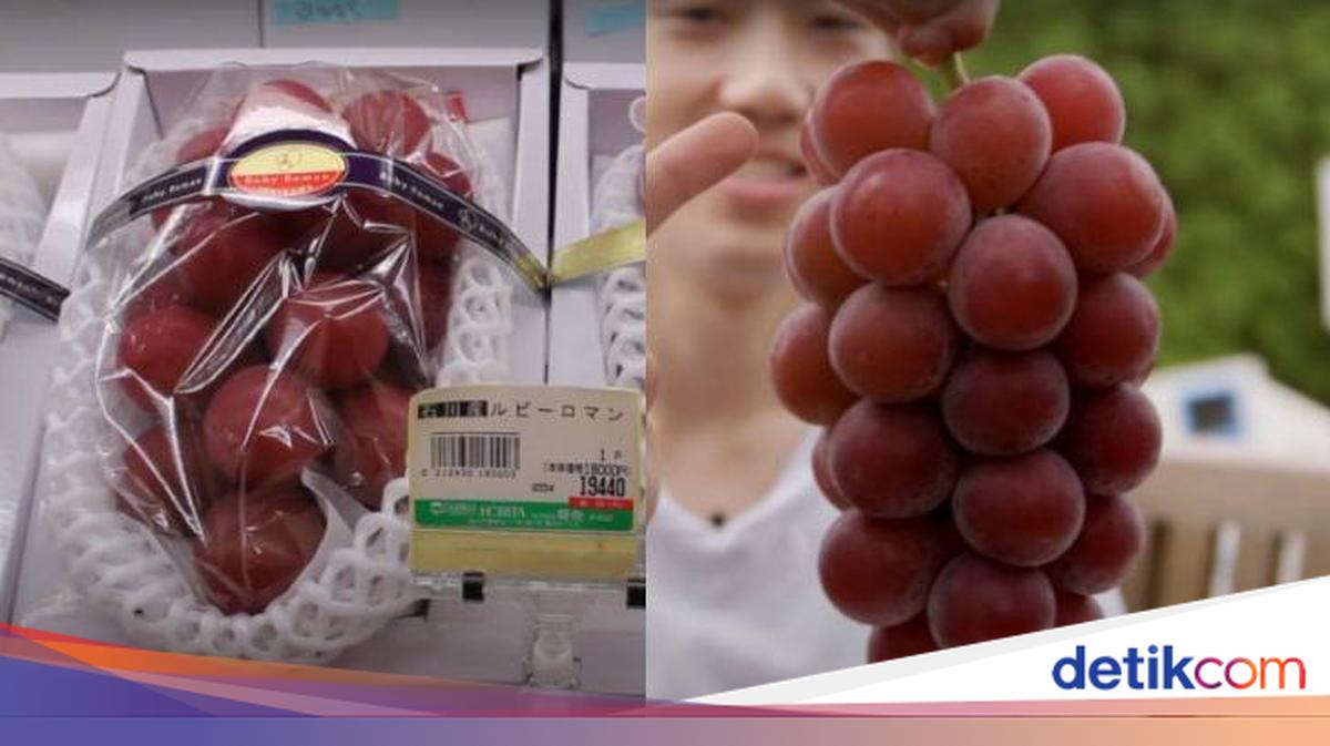 Wow! Anggur Mahal Asal Jepang Ini Dilelang Seharga Rp 178 Juta