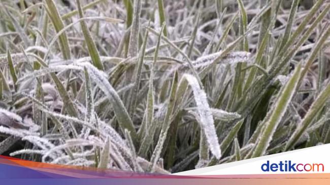 Fenomena Embun Es Dieng: Ditunggu Wisatawan, Ditakuti Petani