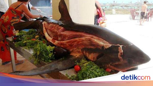 Dikritik Keras, 5 Hidangan Ikan Hiu Ini Populer di Mancanegara