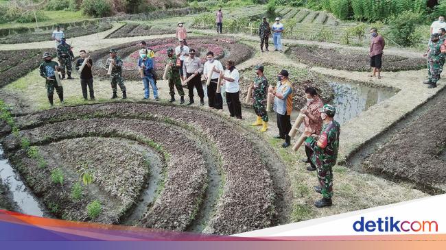 Sejarah Crop Circle yang Diyakini Buatan Alien