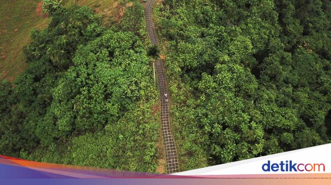 Nikmati Pengalaman Baru di Campuhan Ridge Walk