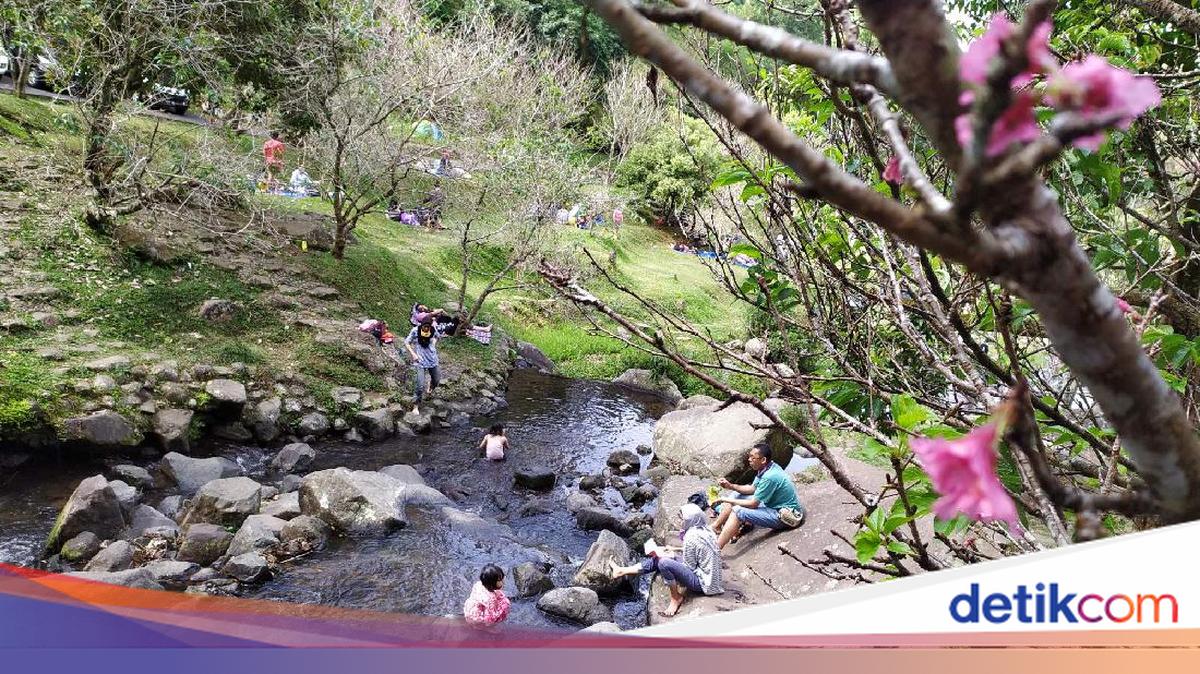 Wisata Alam Favorit di Puncak Ini Tetap Ramah Kantong, Tiketnya Tak Naik