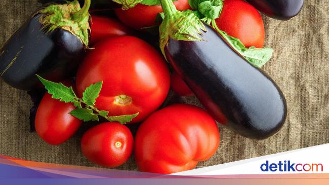 10 Makanan Terbaik untuk Menjaga Kesehatan Paru-paru