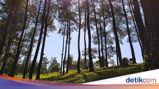 10 Tempat Wisata Ciamis, Banyak yang Baru Lho!