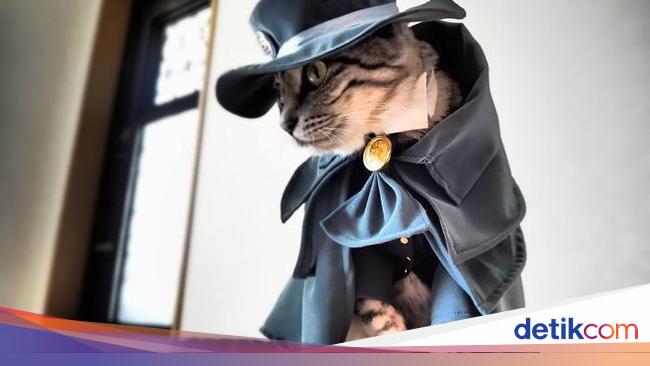 Gemasnya Si Kucing Berpakaian Cosplay Karakter Anime