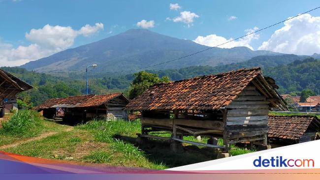 Desa yang Jumlah Dombanya Melebihi Warga Sambut Wisatawan Lagi