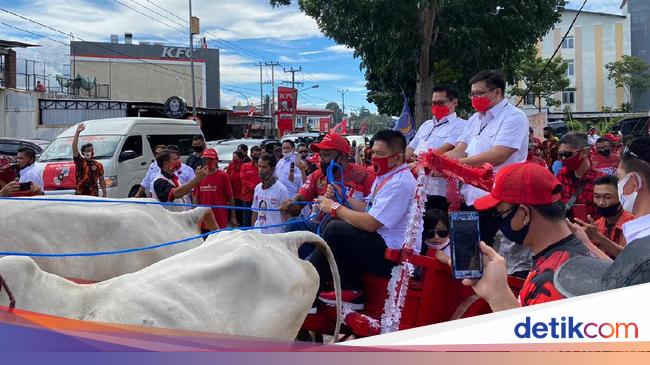 Naik Roda Sapi, Joune Ganda-Kevin Lotulung Daftar ke KPU Minahasa Utara Naik Roda Sapi, Joune Ganda-Kevin Lotulung Daftar ke KPU Minahasa Utara