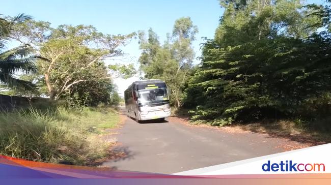 Ketika Bos-bos PO Bus Ajarkan Cara Oleng yang Baik dan Benar