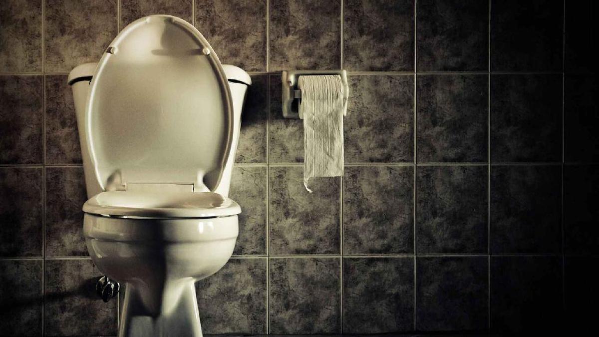 Warna Feses Menunjukkan Kondisi Kesehatan, Begini Mengartikannya