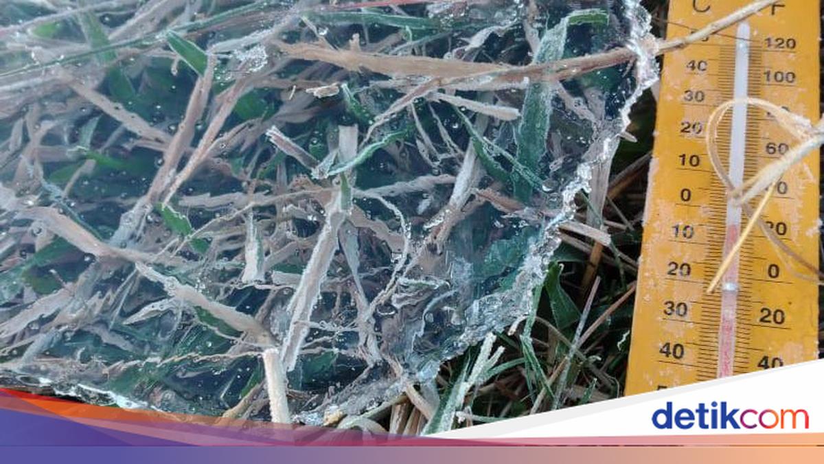 Potret Embun Es Dieng Pagi Ini, Suhunya Minus 5 Derajat