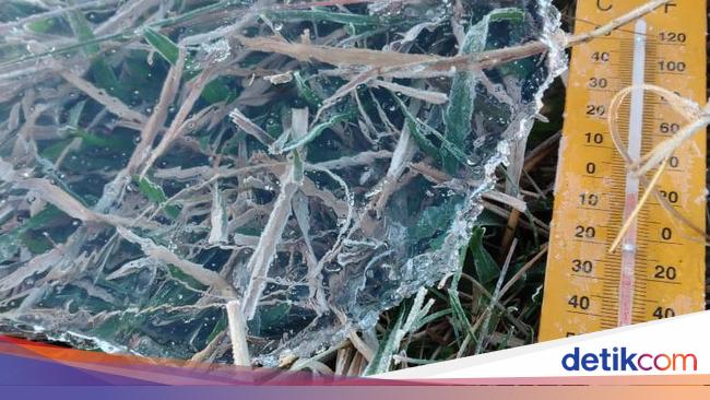 Potret Embun Es Dieng Pagi Ini, Suhunya Minus 5 Derajat