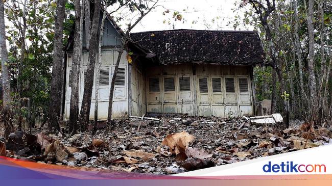 Foto-foto Rumah Tua yang Viral di Tengah Kebun Jati Gunungkidul