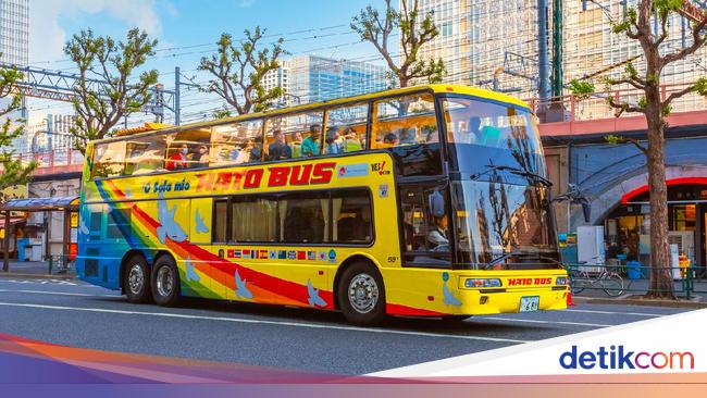 Wisata Unik di Jepang, Labirin dari Susunan Bus Pariwisata