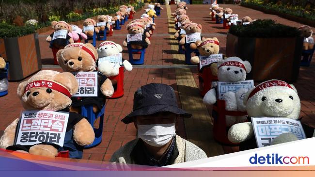 Puluhan Boneka Teddy Bear Ikutan Demo Di Korsel