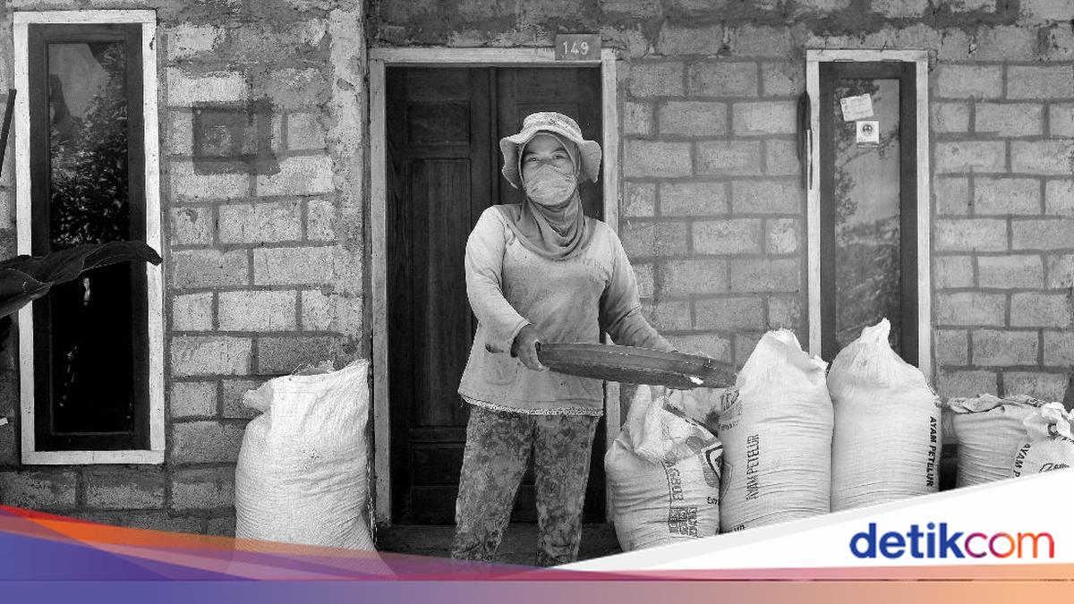 Transmigrasi: Pengertian, Sejarah, Tujuan, dan Bentuknya