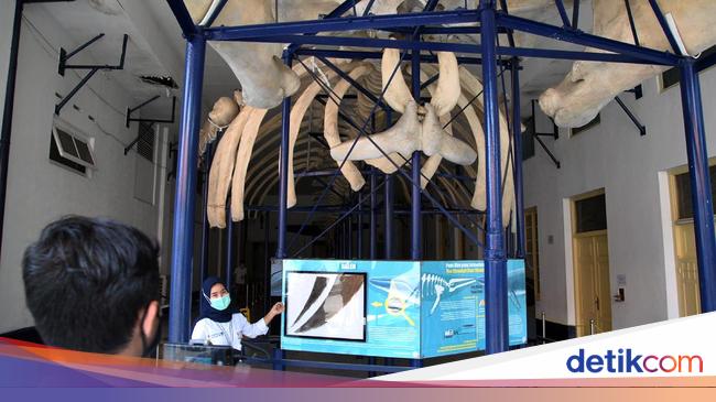 5 Rekomendasi Museum untuk Liburan Sekolah