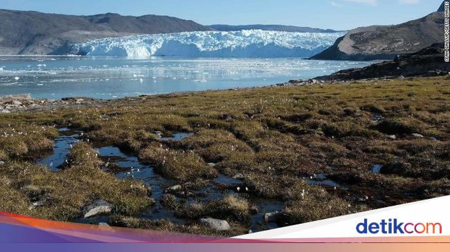 8 Negara yang Terletak Paling Utara di Dunia, Apa Saja?