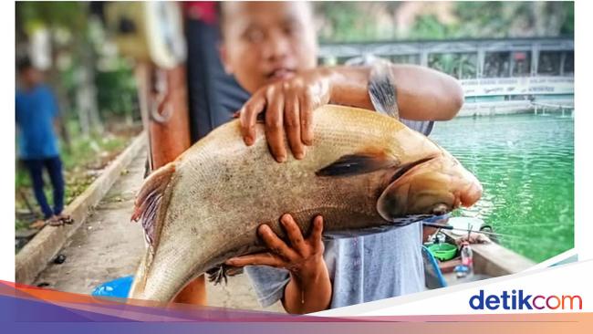 7 Rekomendasi Pemancingan Resto di Jabodetabek