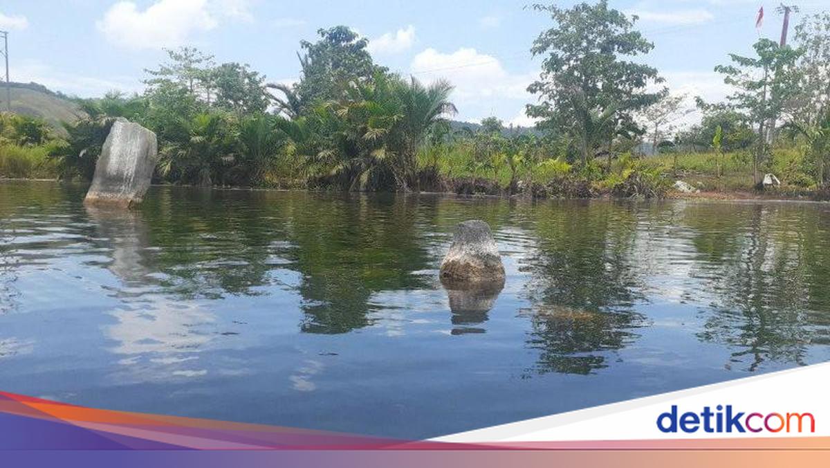 Saat Harta Karun Purbakala Muncul dari Danau Sentani Papua