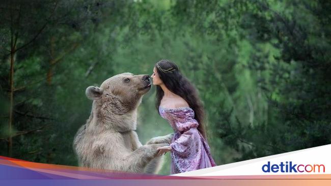 Foto: Beruang yang Posenya Tak Kalah dari Model Profesional