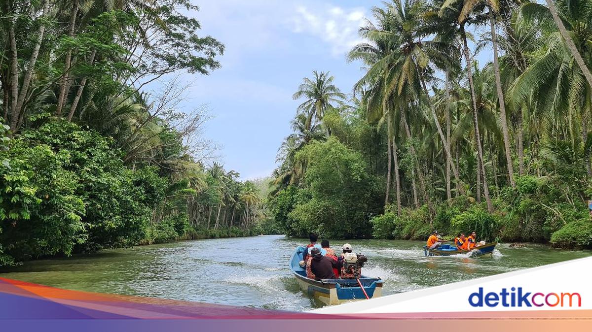 Pesona Sungai Maron Pacitan, "Amazon Jawa Timur" yang Memikat