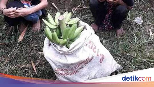 Miris! 5 Kasus Pencurian Makanan Ini Dilakukan Karena Kelaparan Miris! 5 Kasus Pencurian Makanan Ini Dilakukan Karena Kelaparan