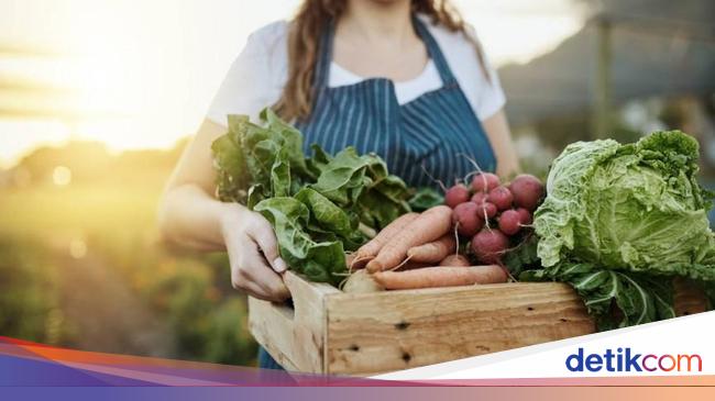 Bukan Hanya Beras, Indonesia Kaya Akan Sumber Pangan Bernutrisi