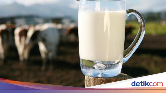 Aneh bin Ajaib! Startup Ini Sukses Bikin Susu Tanpa Sapi Perah