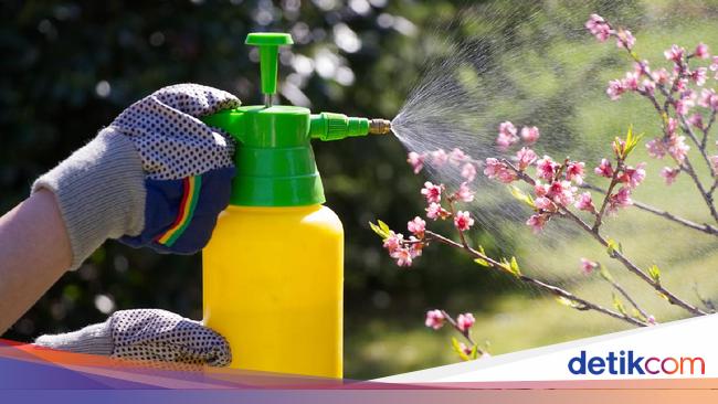 Kenali Jenis-jenis Pestisida, Fungsi, dan Contohnya