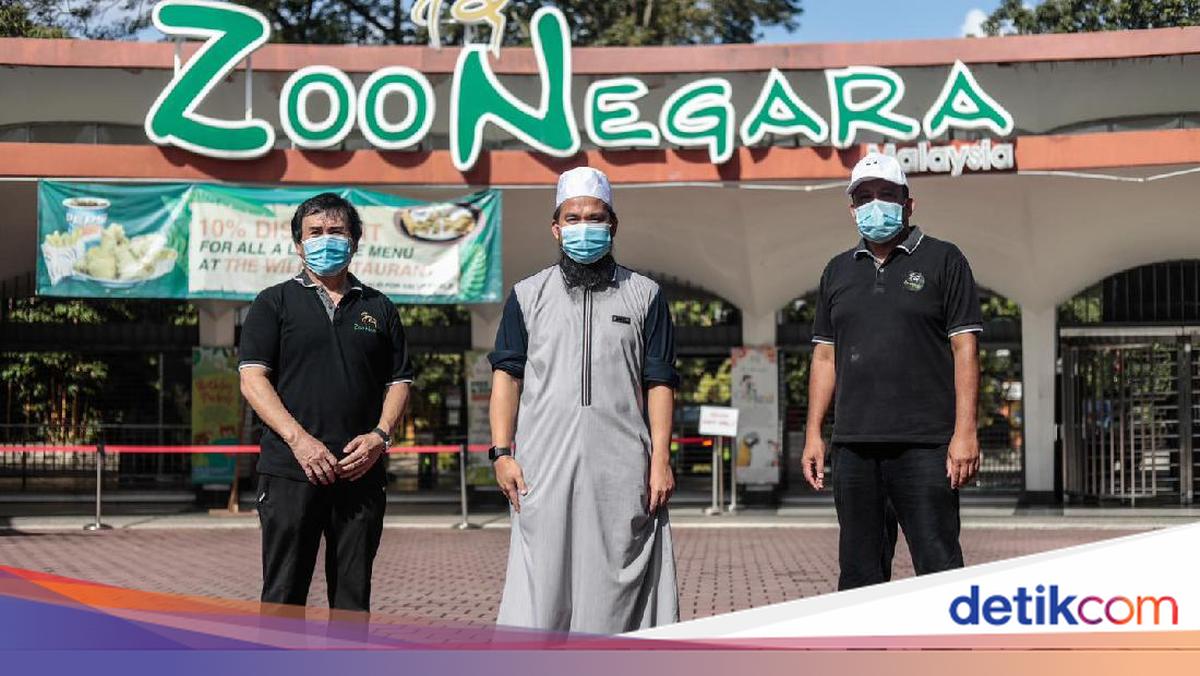 Kisah Ustaz, Pengemis dan Satpam Baik Hati yang Beri Makan Binatang
