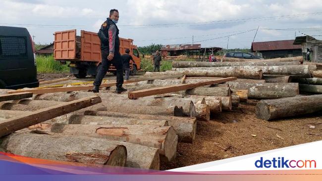 Foto: Ratusan Kayu Ilegal Diamankan di Kampar Riau