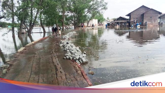4 Desa di Kabupaten Bekasi Terdampak Banjir Rob, Ratusan Rumah Terendam