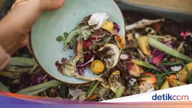 Contoh Sampah Organik: Pengertian, Jenis, Manfaat, dan Cara Mengolah