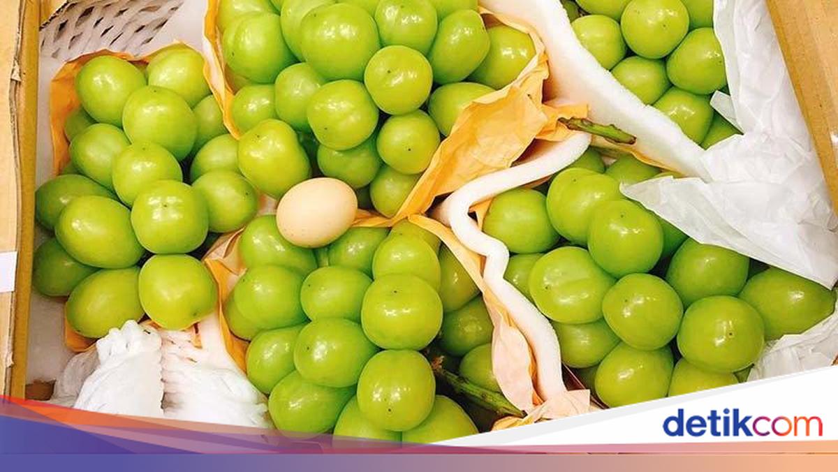 Lebih Besar dari Telur Ayam, Anggur Ini Diprediksi Termahal di Dunia