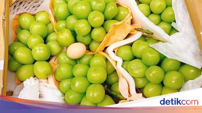 Lebih Besar dari Telur Ayam, Anggur Ini Diprediksi Termahal di Dunia